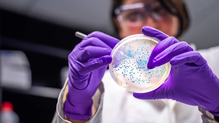 After a 73% surge this ASX healthcare share looks far from done