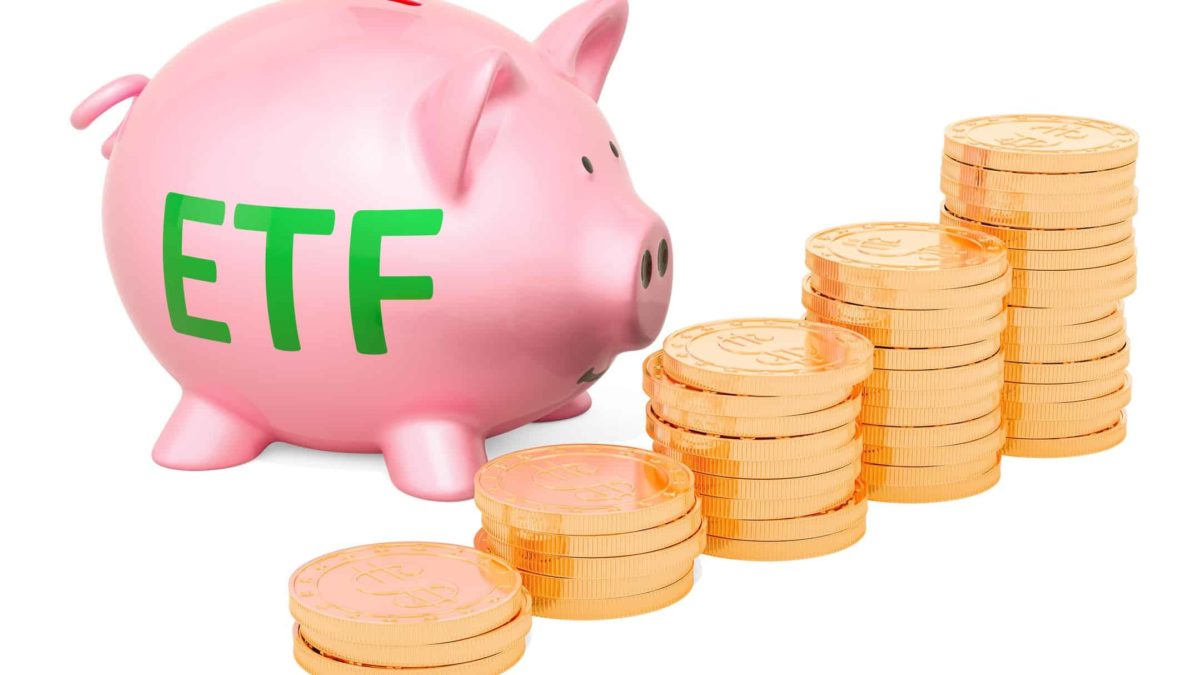 Pros and cons of owning the Vaneck Morningstar Wide Moat ETF right now